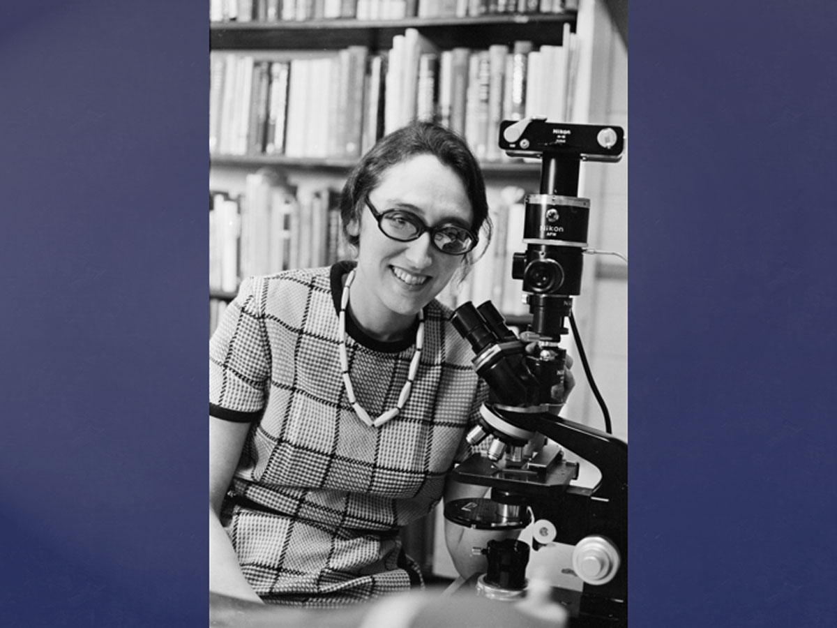 Events & Workshops – The End of You